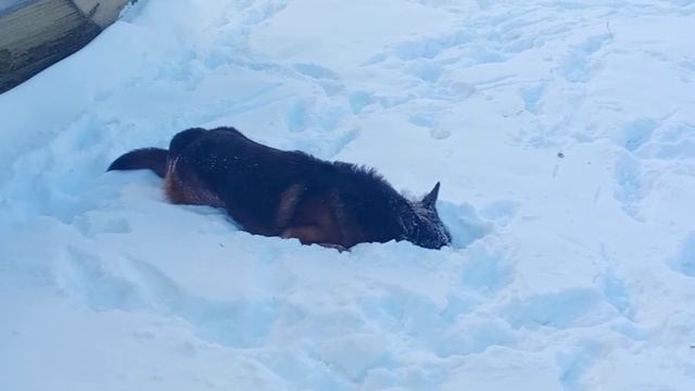 Правила съёма: метод Цзяня