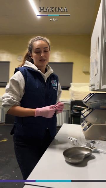 Противовоспалительные коктейли для спортивных лошадей в MAXIMA VET - помогают животным быть в форме!