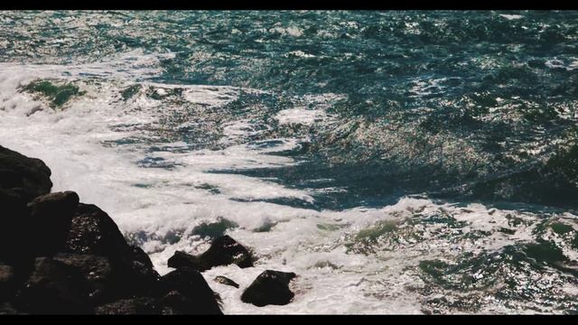 Я с Тобой - NEW MSD Music Laboratory и Лаура Ершова