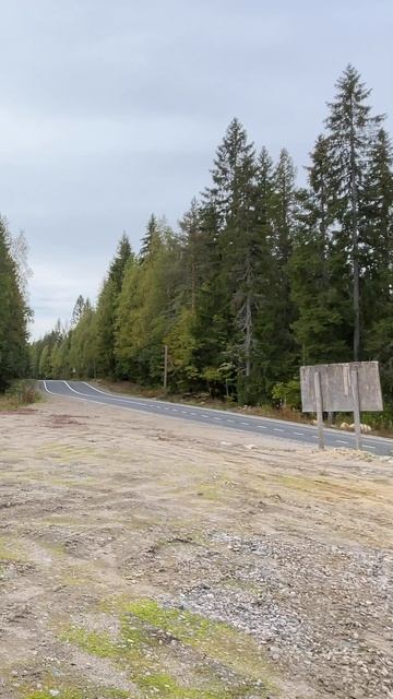 В глухой тайге на Mitsubishi outlander