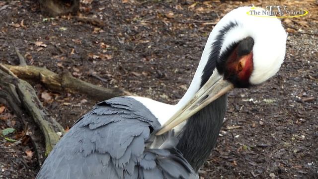 МУДРОСТЬ ЖИЗНИ МОЕЙ ДУШИ...