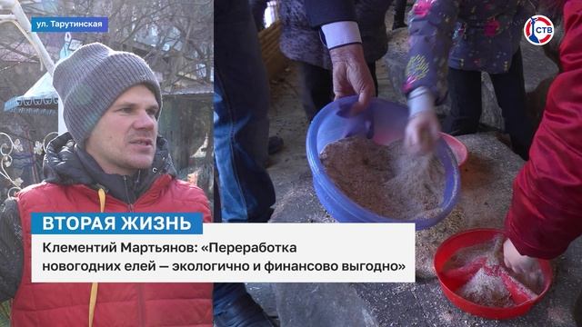 Клементий Мартьянов о пользе переработки новогодних ёлок