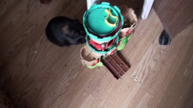 Блэкки замок и заготовки июль2023