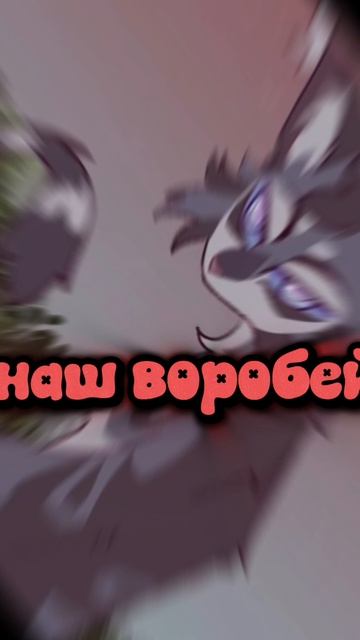 Коты воители ваше/наше  /1 часть/