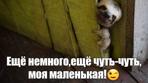 Чуть чуть поиздеваюсь