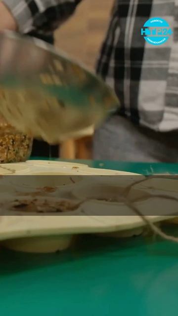 Прививает детям заботу о птицах зимой