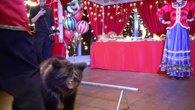 Шоу с медвежонком