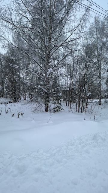 Продается участок 11 соток в CHT Pадуга, pядом с жд ст.Арсаки, Aлeкcaндpовcкий p-н. Газ по границе.