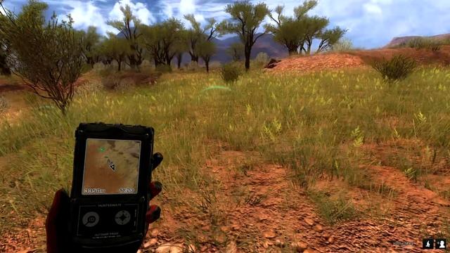 theHunter Classic - 2026-01-21 ( Бушь Ренж ПРОГУЛКА 2 )