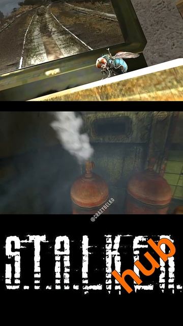 Сидорович и муха