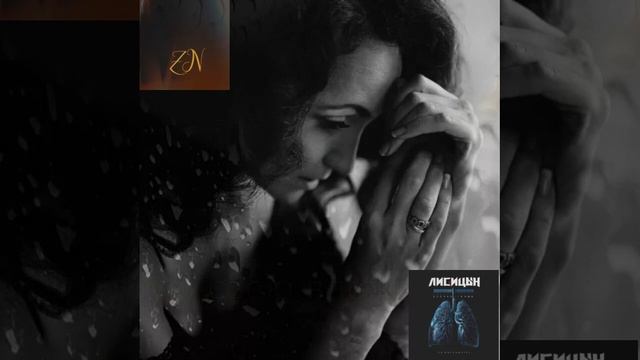 Лисицын "По миллиметру"1000374711.mp4