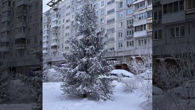 Памяти ушедших от нас родителей посвящается...Димаш Кудайберген"Любовь уставших лебедей" 1000374800.