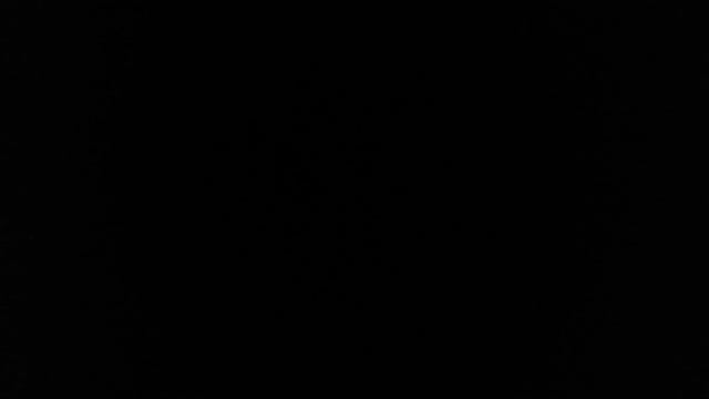 VID_20260122_114924.mp4