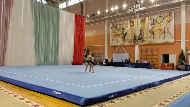 ЖП 3 спортивный разряд, Полубояринова Элла - Амосова Ева, ДШИ г.Светлый, Темповое упражнение