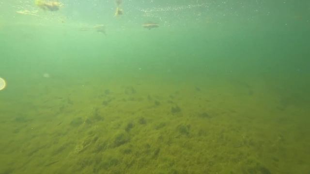 Река Иргина/ деревня Красносоколье