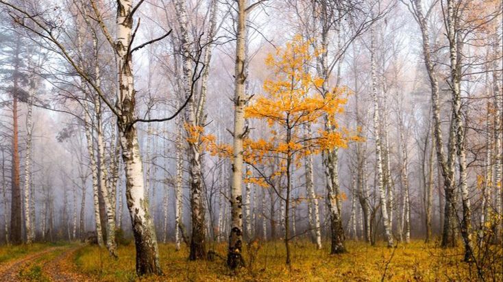 Мчатся дни и ночи