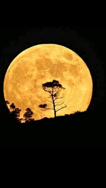 Юрий Степанов - Желтая Луна (2 версия)