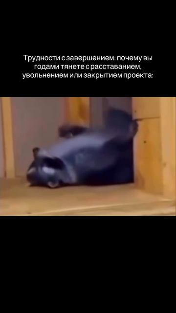 Как завершить отношения и проекты без страха: секреты экологичного завершения и внутренней свободы