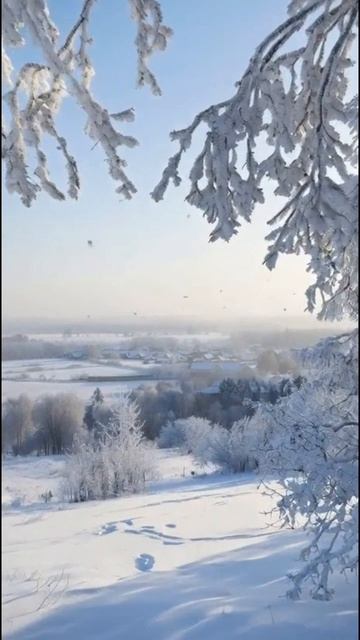Любовь нельзя создать искусственно — она живет внутри нас.