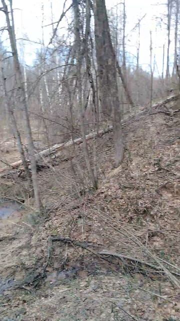 ✔Таёжные🌿 дебри✔