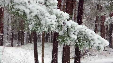 💗 СТРАНА СЭФЕСТИЯ. ＂Агония Зимы...＂. 🙏 Посвящается ВСЕМ украинцам, у которых нет тепла и света! 🥲