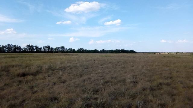 Исчезнувшая артель Роза (Роза Люксембург), Краснокутский район (2).