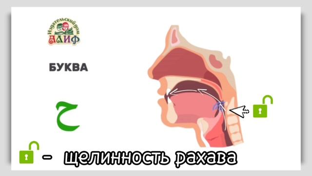 рахава (щелинность)