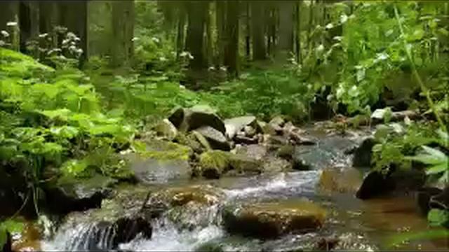 О глобальной миссии России.