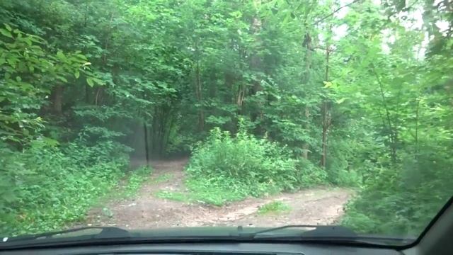 Звенигород 1984 - 2020