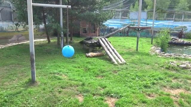 Ярославль Зоопарк 2022