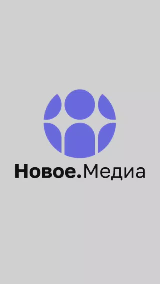 Недавно в ЛНР ввели новый закон — бездомных собак будут стерилизовать и прививать