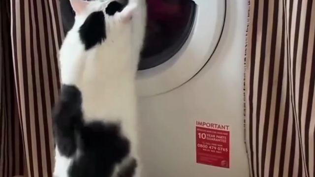 Постираем - постираем! 😆