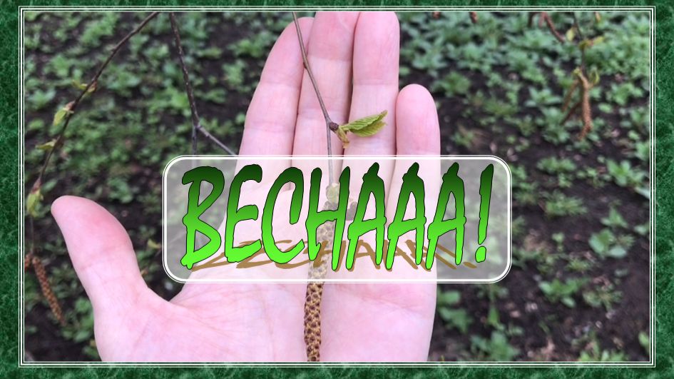 Веснааа! Ура! / Архив от 03.05.2022