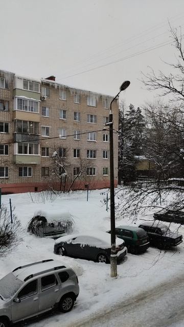 PXL_20260123_094026873