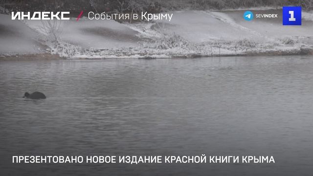 Презентовано новое издание Красной книги Крыма