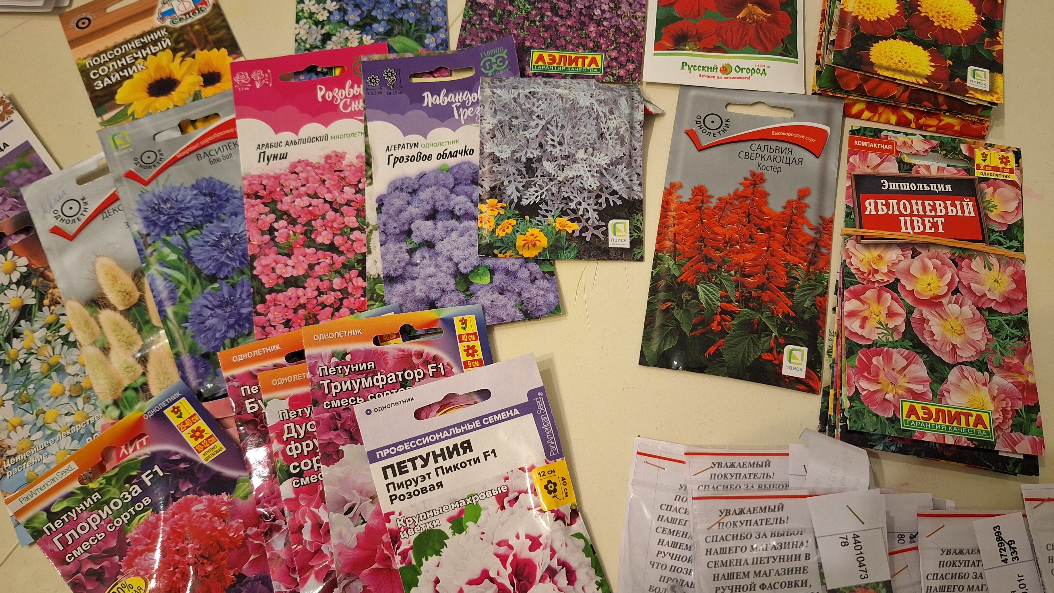 19.01.2026 Семена цветов на 2026 год