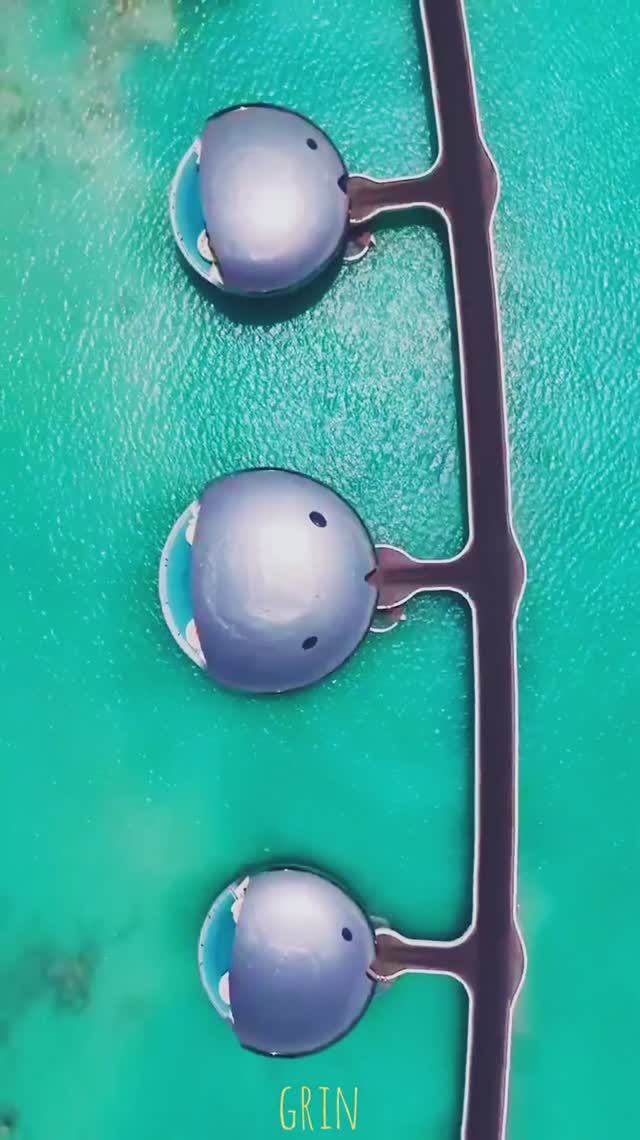 "Инопланетный" курорт в 🇸🇦