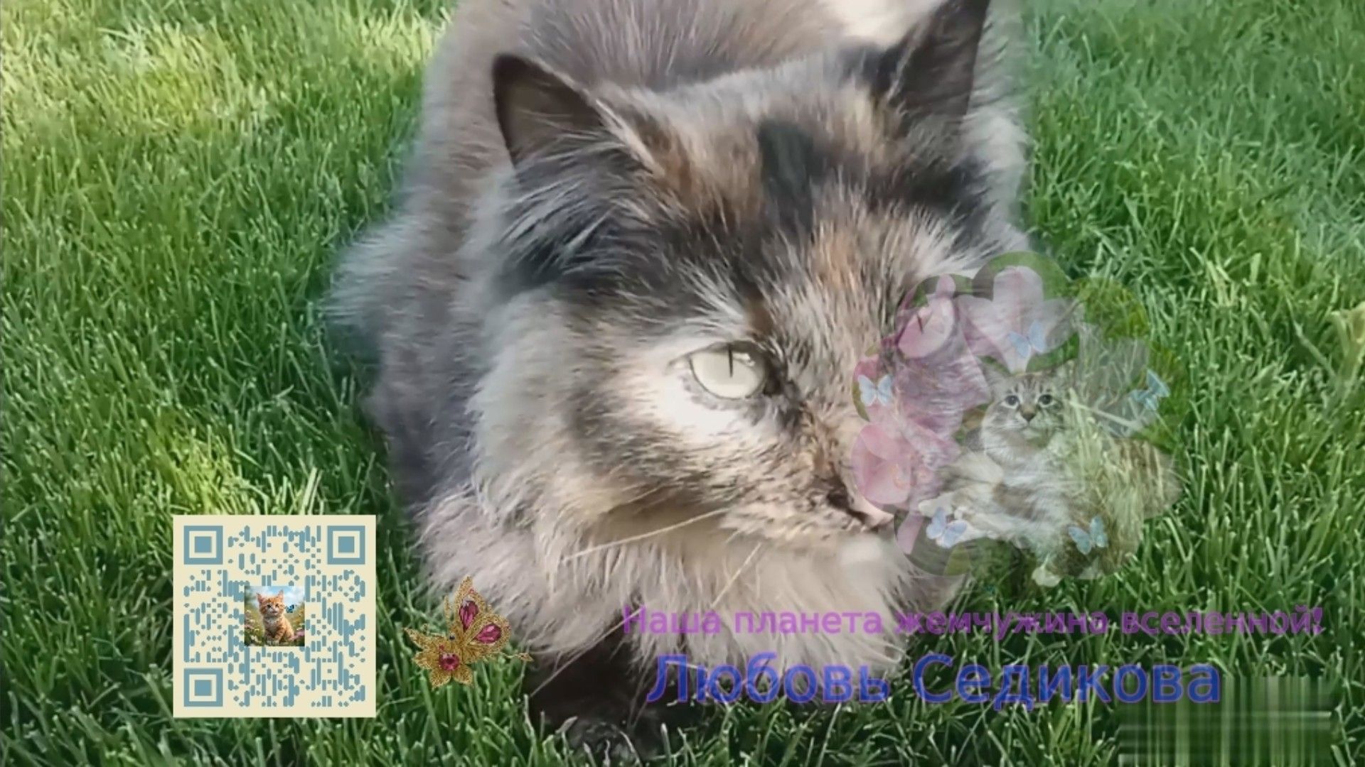 Жизнь великий дар его надо нам сберечь! # 9