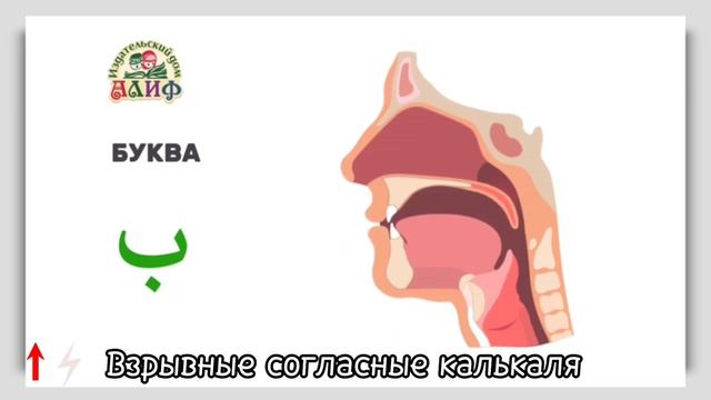 калькаля (взрывные согласные)