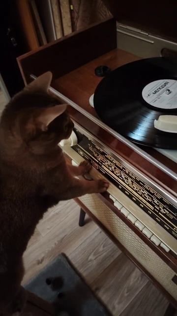 Марго слушает старые пластинки и балдеет от удольствия