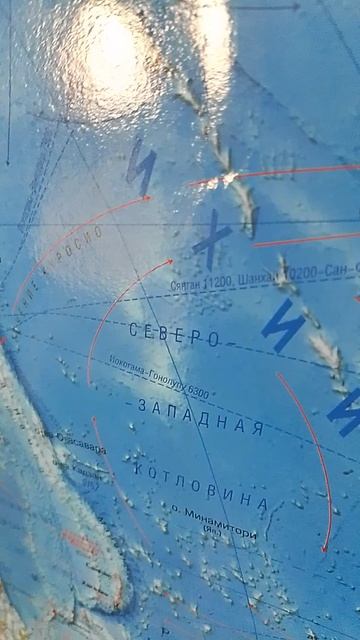 Где обитают сиреноголовые