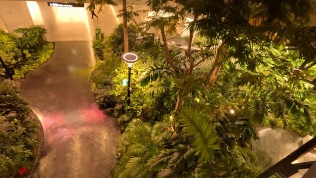 Перелет Москва-Доха