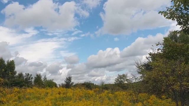 ВДЫХАЯ ЛЕТНИЙ АРОМАТ