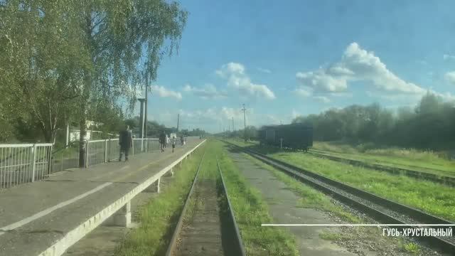 Гусь - Хрустальный - Владимир