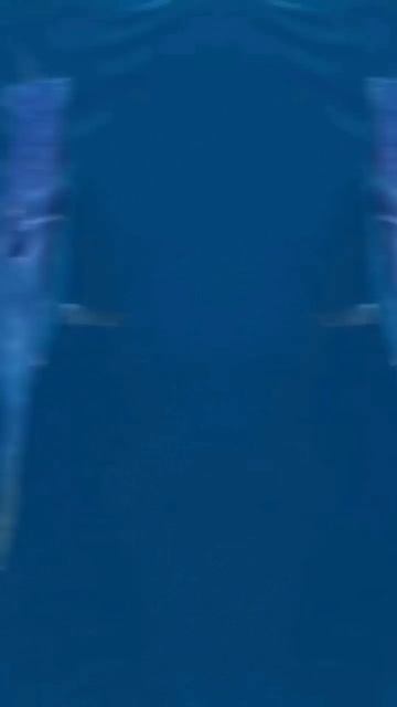 РЫБА МЕЧ   (@infackts)