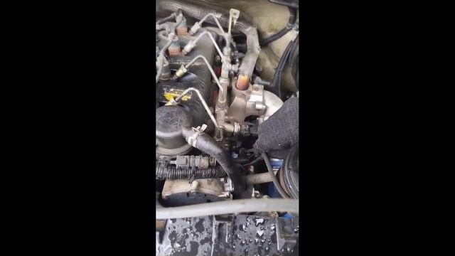 Насос для замены масла через щуп. Какой выбрать? Газель NEXT  2.8 Cummins