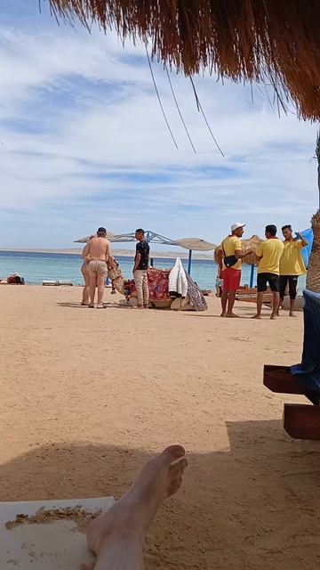 Море Пляж Верблюд