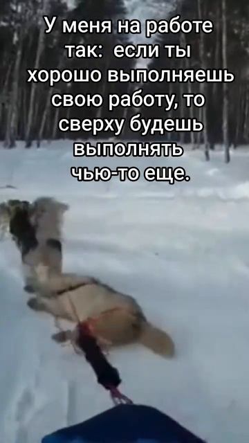 А у вас разве по другому? #работа #хитрость #выполнять #папатрехпринцесс #шутка #юмор #прикол #смех