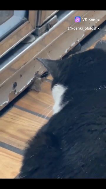 важные переговоры