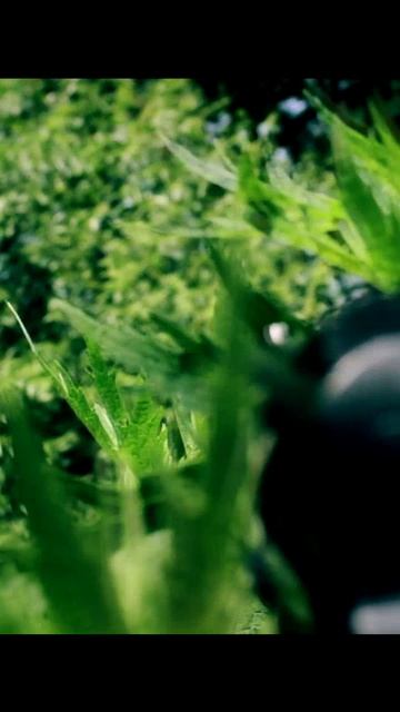 Пирамида и связь !